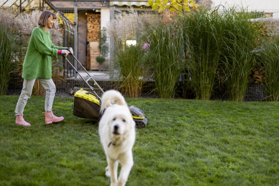 Face Off - Brushed Vs. Brushless Lawn Mower - Urban Garden Boston